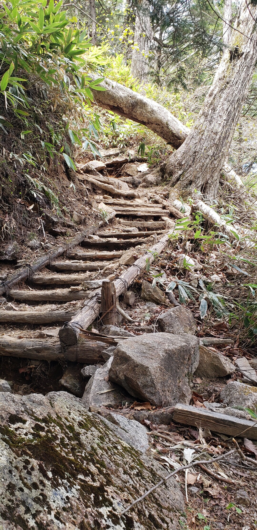 moriさんの投稿したフィールドメモ | YAMAP / ヤマップ