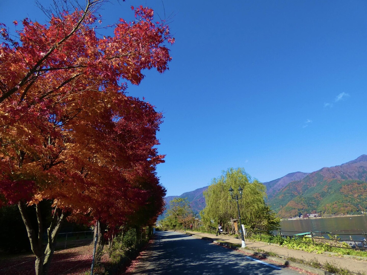 ぷらっと散歩🚶‍♂️ / みっちさんのUTMF2018 その4の活動データ | YAMAP / ヤマップ
