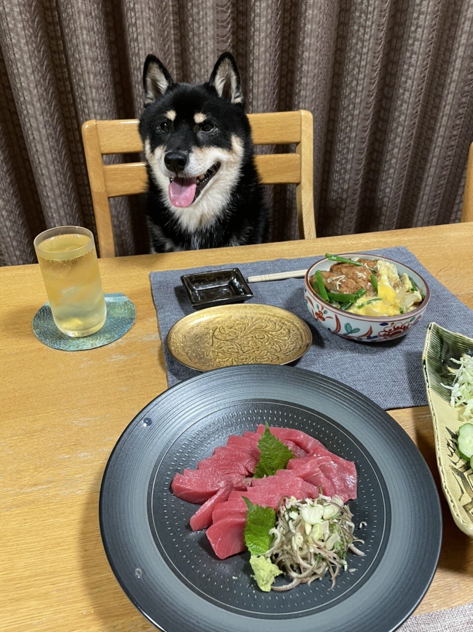 マグロ食べたーい🐾 カツ丼食べたーい ... / えみクロさんのモーメント | YAMAP / ヤマップ