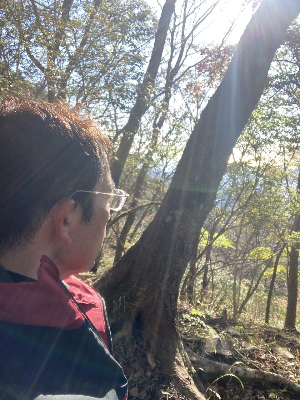 mituのページ | YAMAP / ヤマップ