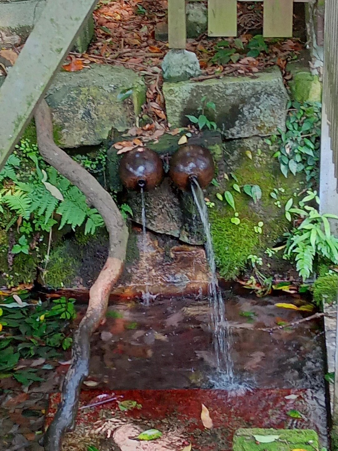 市杵島姫神社(いちきしまひめじんじゃ)「... / yuusenさんのモーメント | YAMAP / ヤマップ