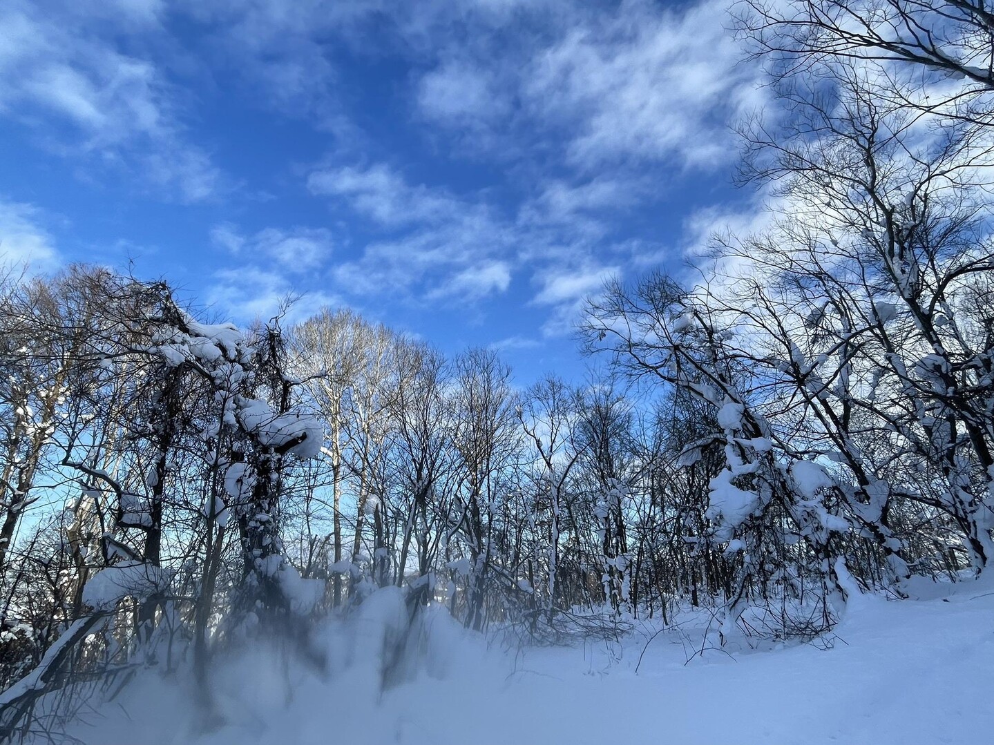 石山 / mameさんの石山の活動データ | YAMAP / ヤマップ