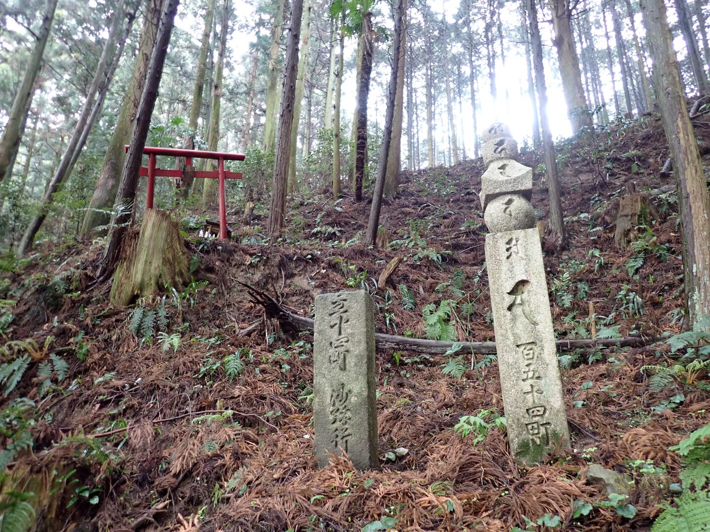 《和歌山》高野山 町石道 1泊2日 / nazさんの高野参詣道（高野山・楊柳山・雨引山）の活動データ | YAMAP / ヤマップ