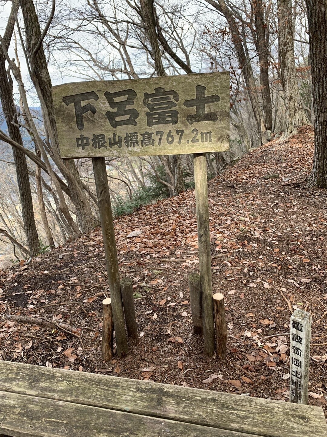 中根山(下呂富士) / maiさんの中根山（下呂富士）の活動データ | YAMAP / ヤマップ