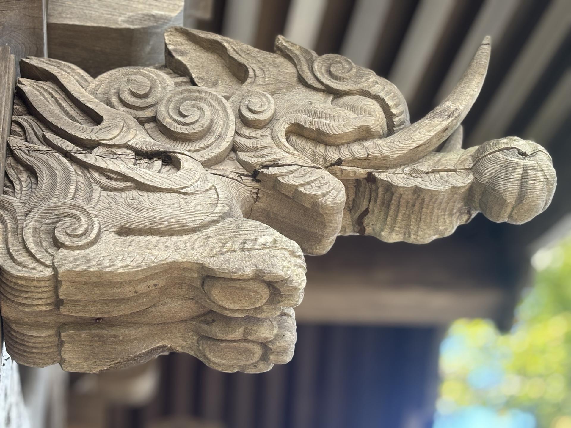 Ochisan / つんねるさんの越知山・六所山の活動データ | YAMAP / ヤマップ