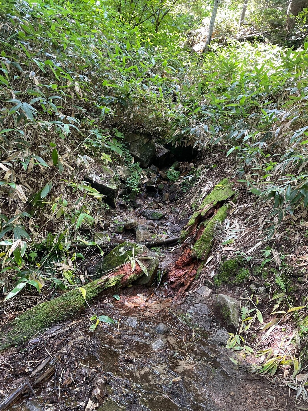 Yusuke Maruさんの投稿したフィールドメモ | YAMAP / ヤマップ