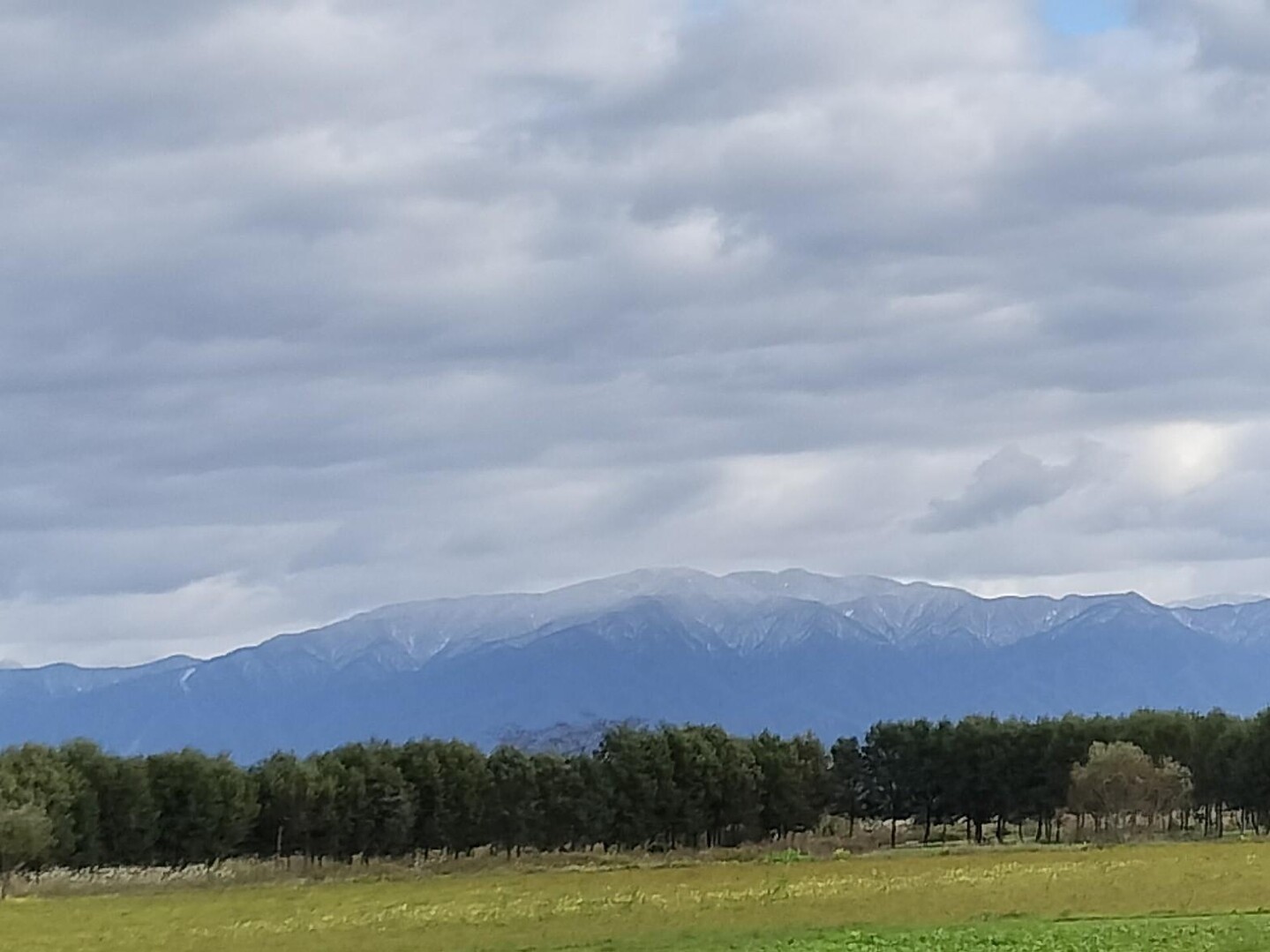 2024-11-25福島潟散歩 / muscari-mieさんのウォーキングの活動データ | YAMAP / ヤマップ