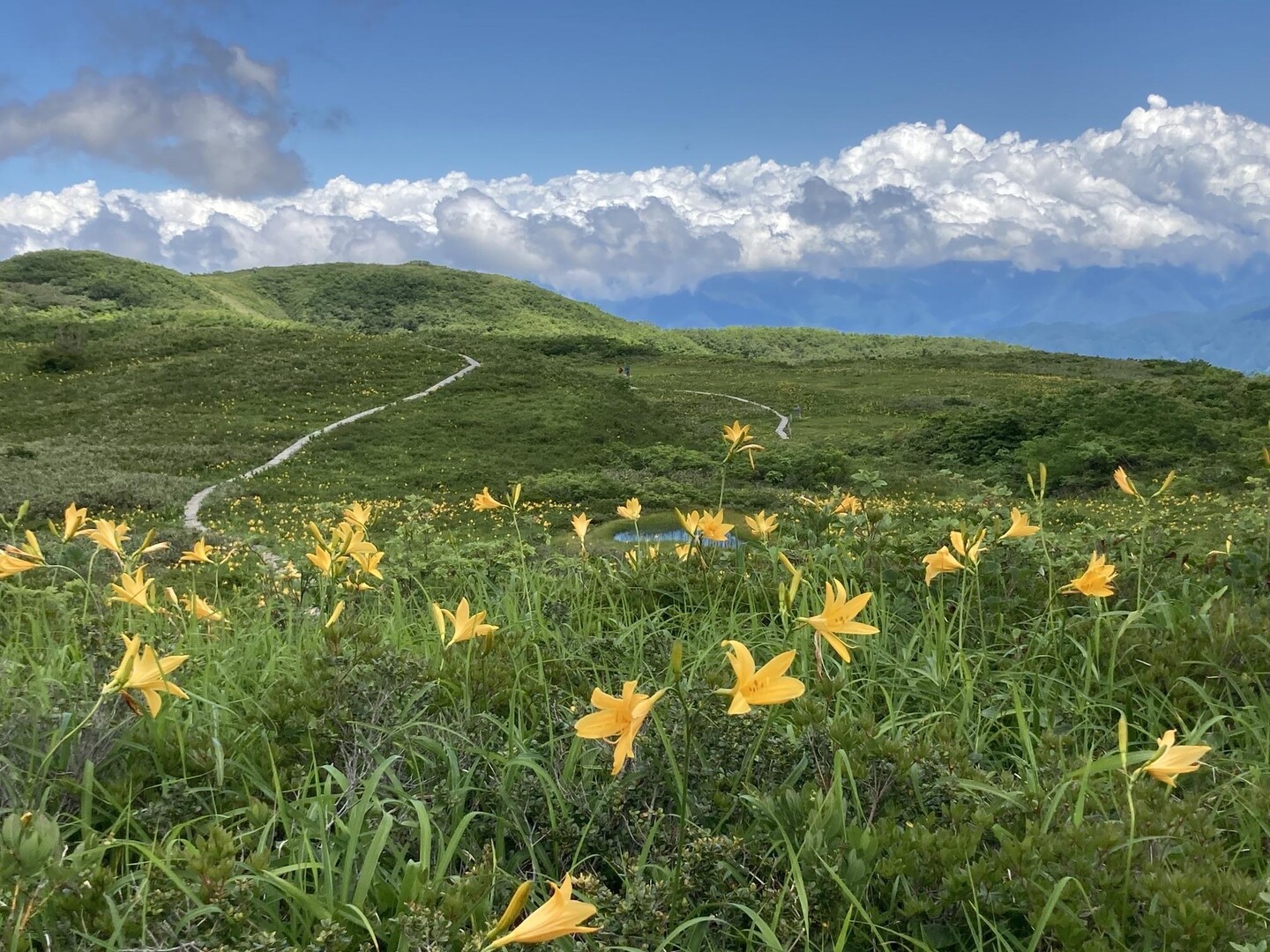 白木峰 / ☆keiさんの白木峰・小白木峰の活動データ | YAMAP / ヤマップ