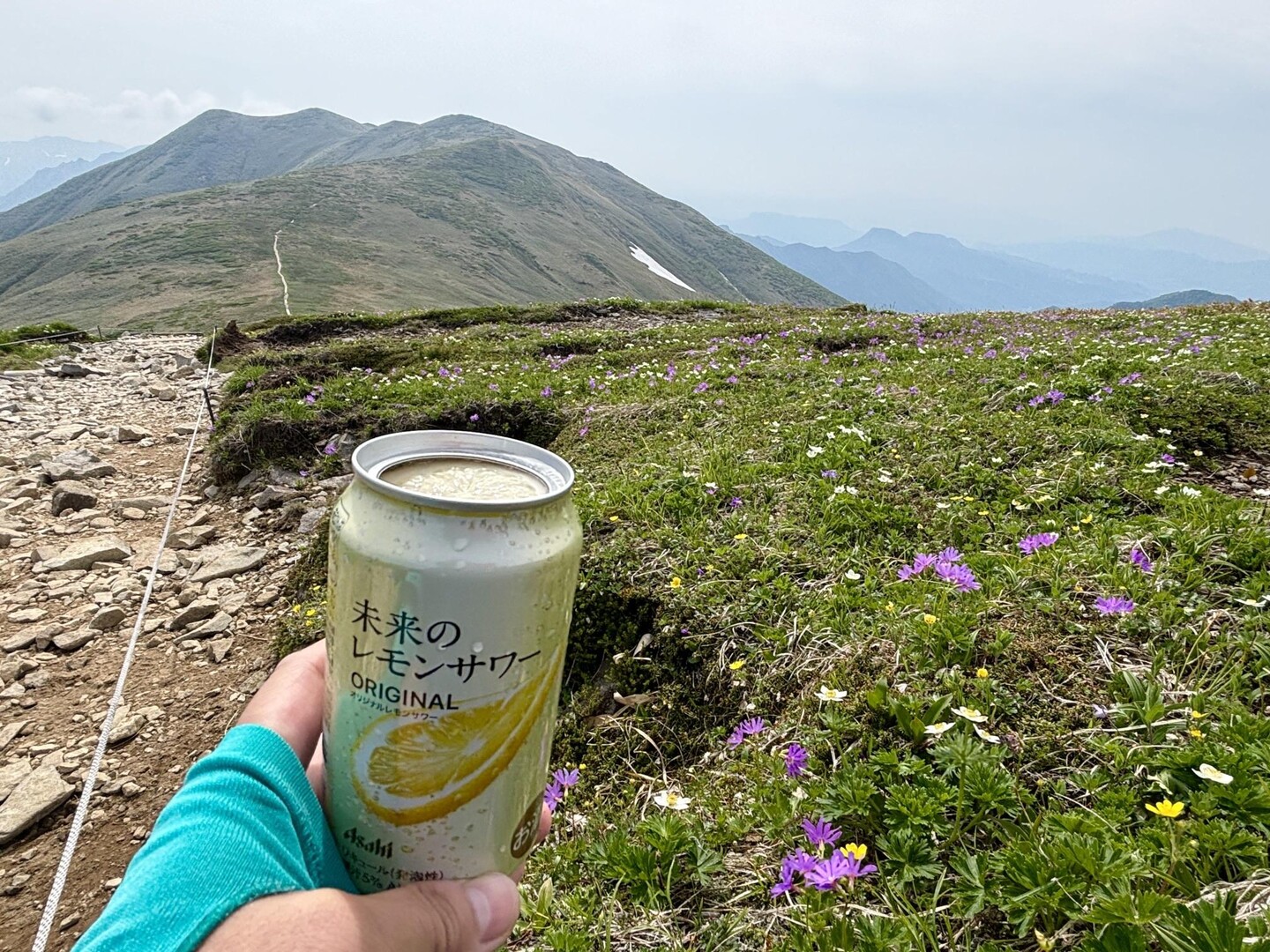 6/13 平標山→仙ノ倉山 右回り / u.igaさんの仙ノ倉山・平標山・大源太山の活動データ | YAMAP / ヤマップ
