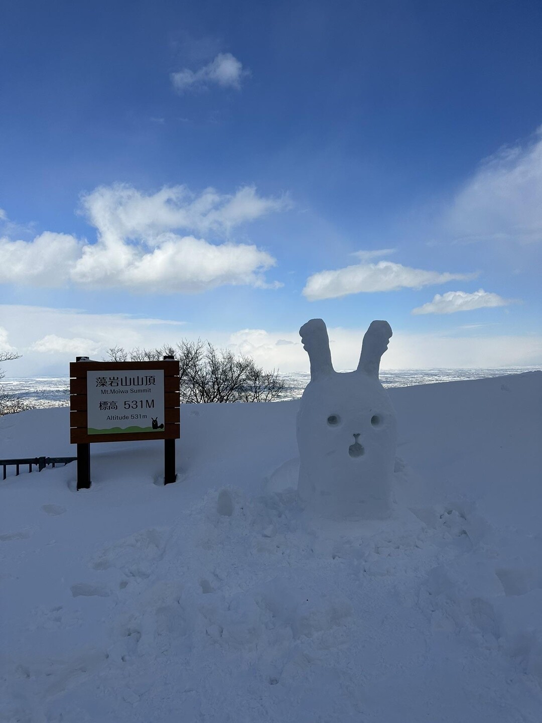 藻岩山 / chiiさんの藻岩山の活動データ | YAMAP / ヤマップ