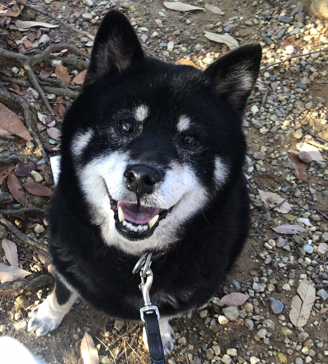 Keenのページ | YAMAP / ヤマップ