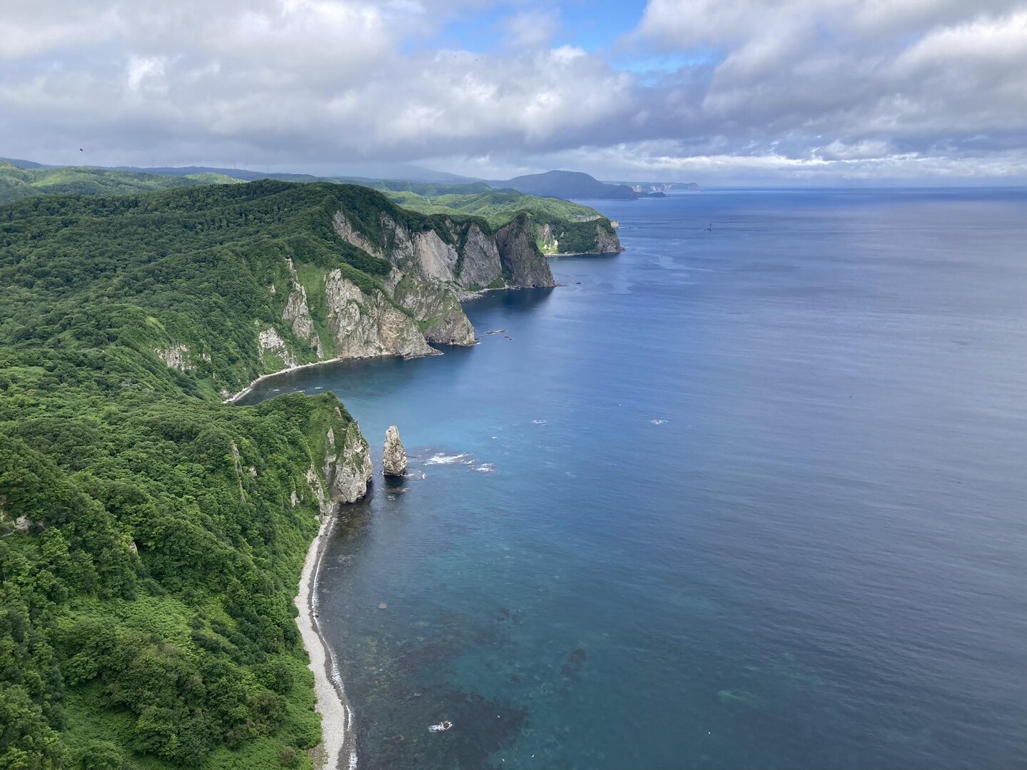 雨やんで🌧️尻場山へ / ogamiさんの尻場山の活動データ | YAMAP / ヤマップ