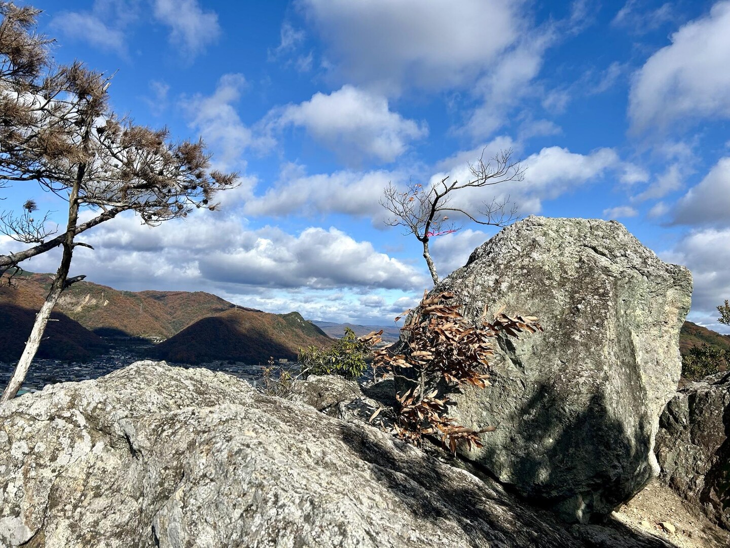 龍ノ口山 / coco☺︎さんの龍ノ口山の活動データ | YAMAP / ヤマップ