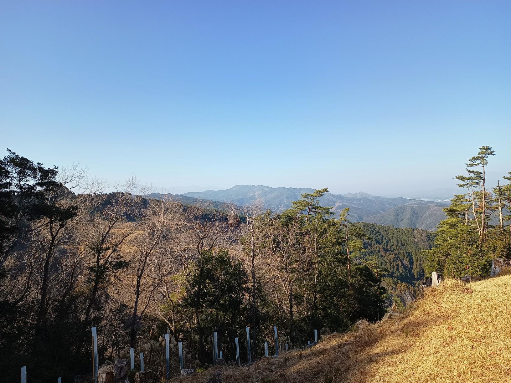 官山〜将野〜楯ヶ城山〜488P / ゆみちゃんさんの鎮南山の活動データ | YAMAP / ヤマップ