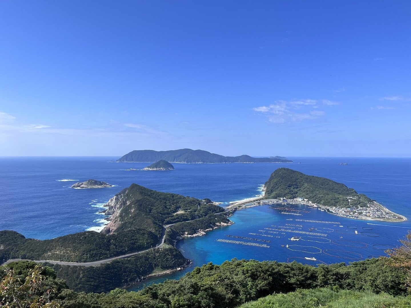 大堂山 / seiさんの大堂山の活動データ | YAMAP / ヤマップ