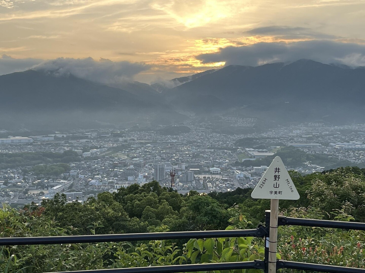 井野山-2023-6-22(68) / kaz@Tak2さんの井野山の活動データ | YAMAP / ヤマップ