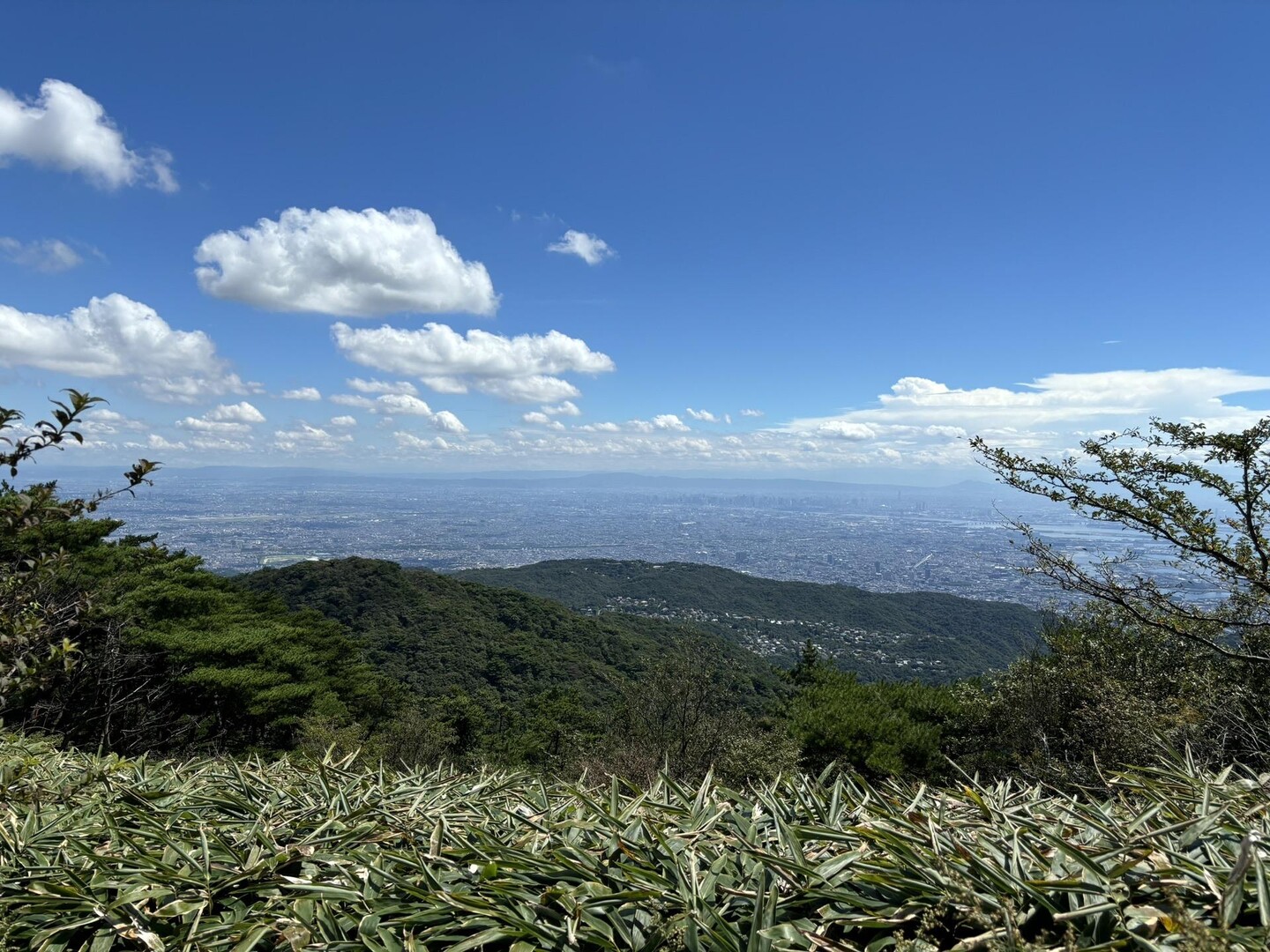 六甲山(芦屋川〜山頂往復) / RINさんの六甲山・長峰山・摩耶山の活動日記 | YAMAP / ヤマップ