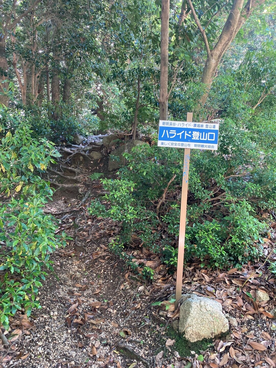 ハライド / Ericさんの釈迦ヶ岳の活動日記 | YAMAP / ヤマップ