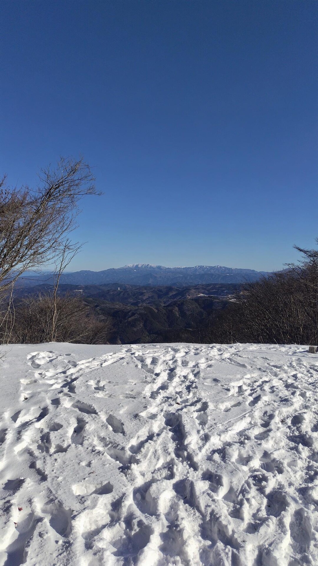 寧比曽岳 / ZAKIさんの寧比曽岳・筈ヶ岳・出来山の活動データ | YAMAP / ヤマップ