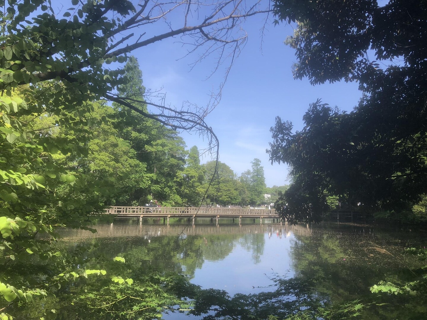 三鷹を歩こう –2024-04-28 / muneさんの三鷹市の活動データ | YAMAP / ヤマップ