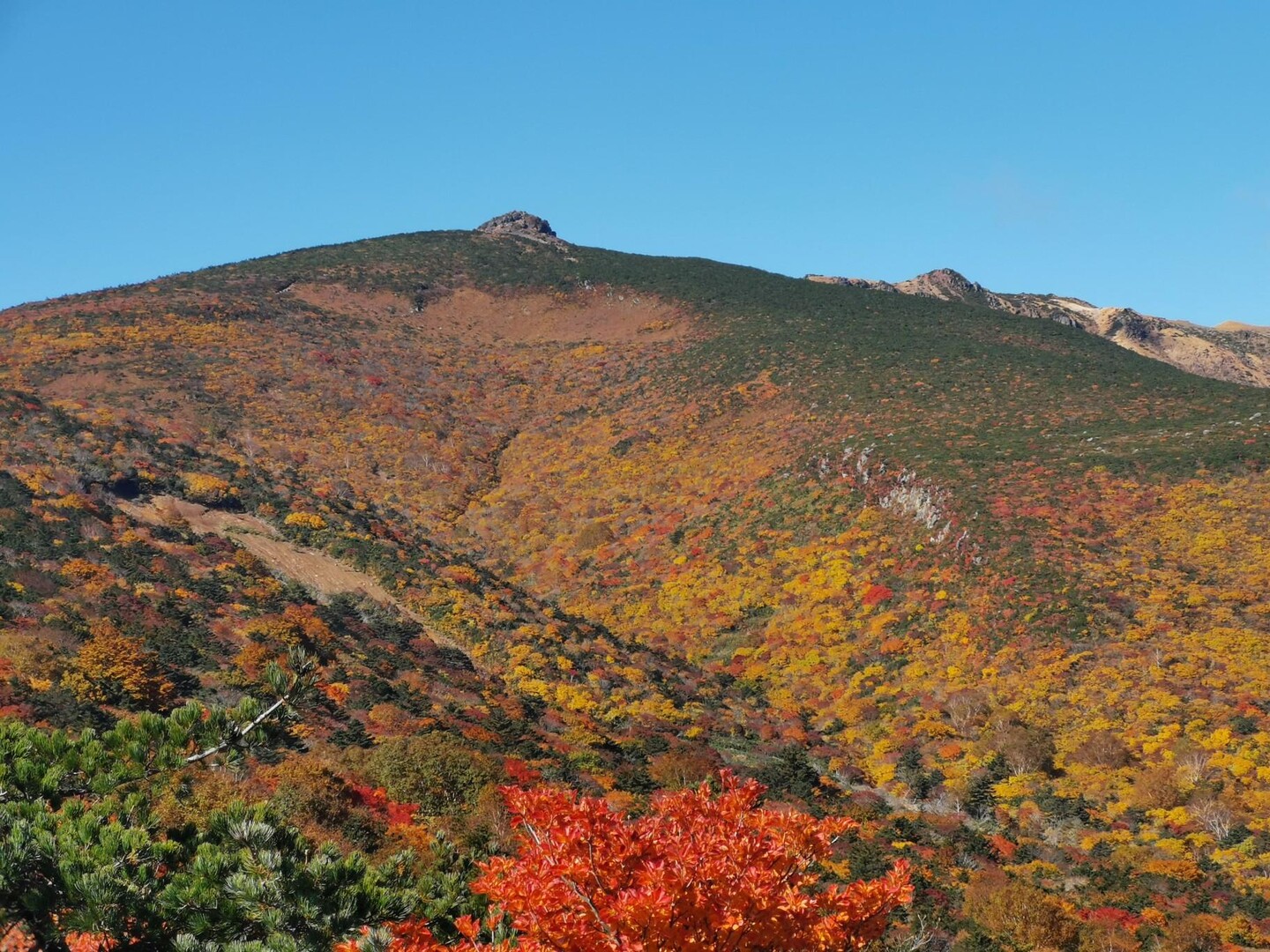 安達太良山・矢筈森 / jjさんの安達太良山・箕輪山・鬼面山の活動データ | YAMAP / ヤマップ