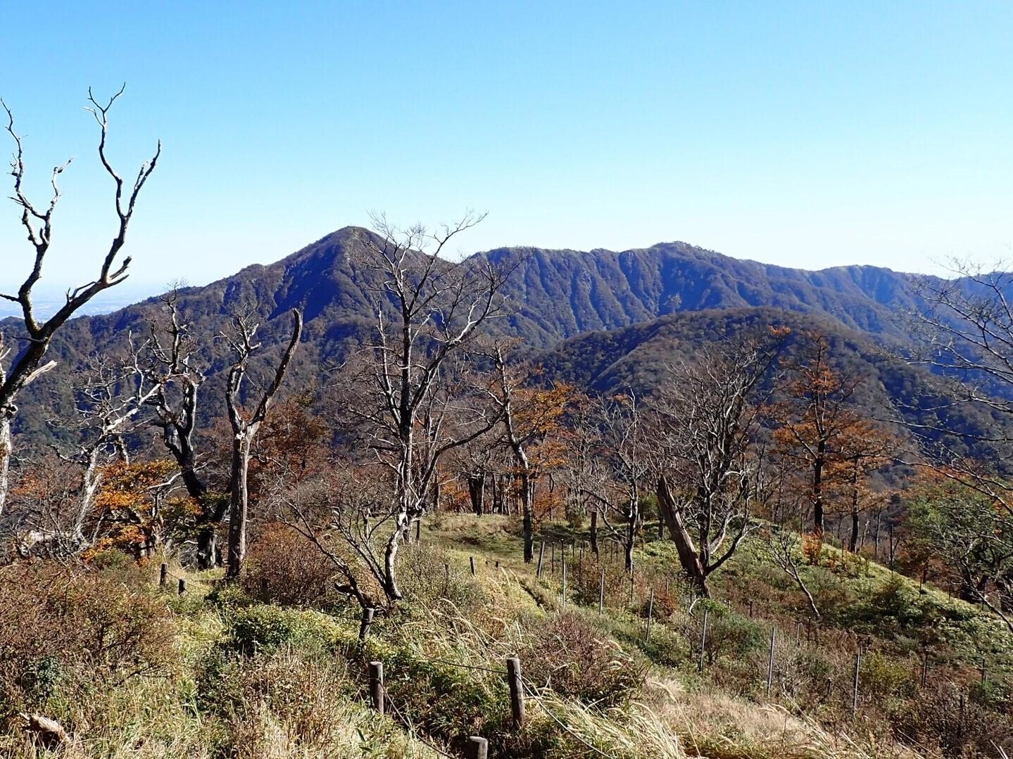 丹沢主稜縦走のイベントもやります！ ht... / 登山ガイドカネコさんのモーメント | YAMAP / ヤマップ