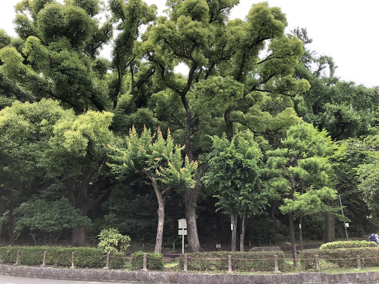 熱田三大古墳と象の鼻と夜寒の里 熱田の街歩きその1 2019618 東海道五十三次（宮宿・桑名宿）の写真32枚目 遠景で‼️ただの