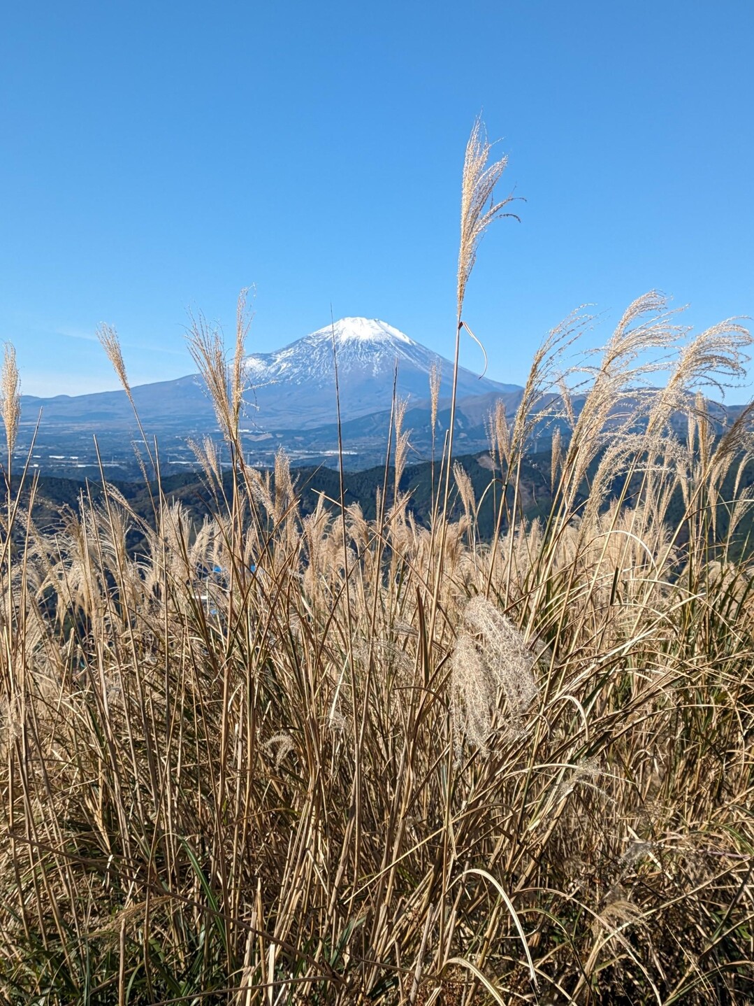 大野山 / Sam&Azuさんの高松山・大野山の活動データ | YAMAP / ヤマップ