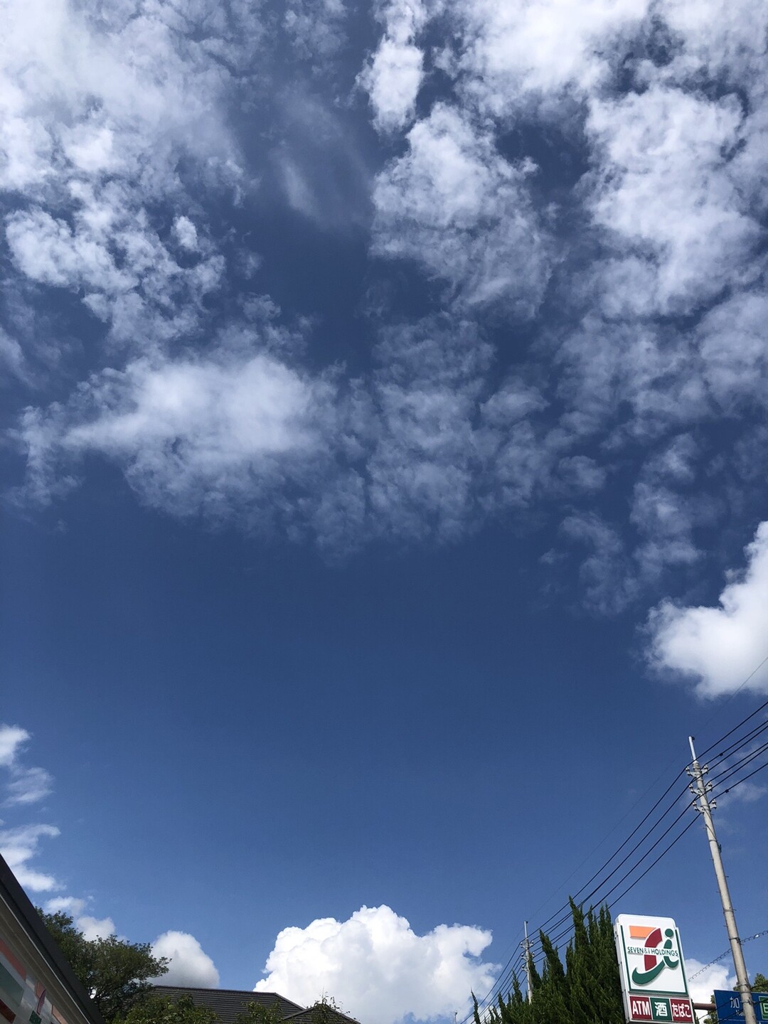 鈴ヶ峰シャトル / ujinaさんの広島南アルプス（武田山・三滝山・鈴ヶ峰）の活動データ | YAMAP / ヤマップ