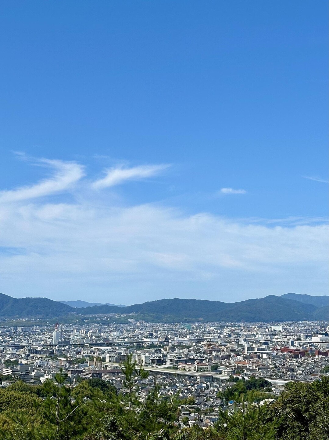 トレラン【京都一周トレイルの東のほう】 / nao-saさんの京都一周トレイルの活動データ | YAMAP / ヤマップ