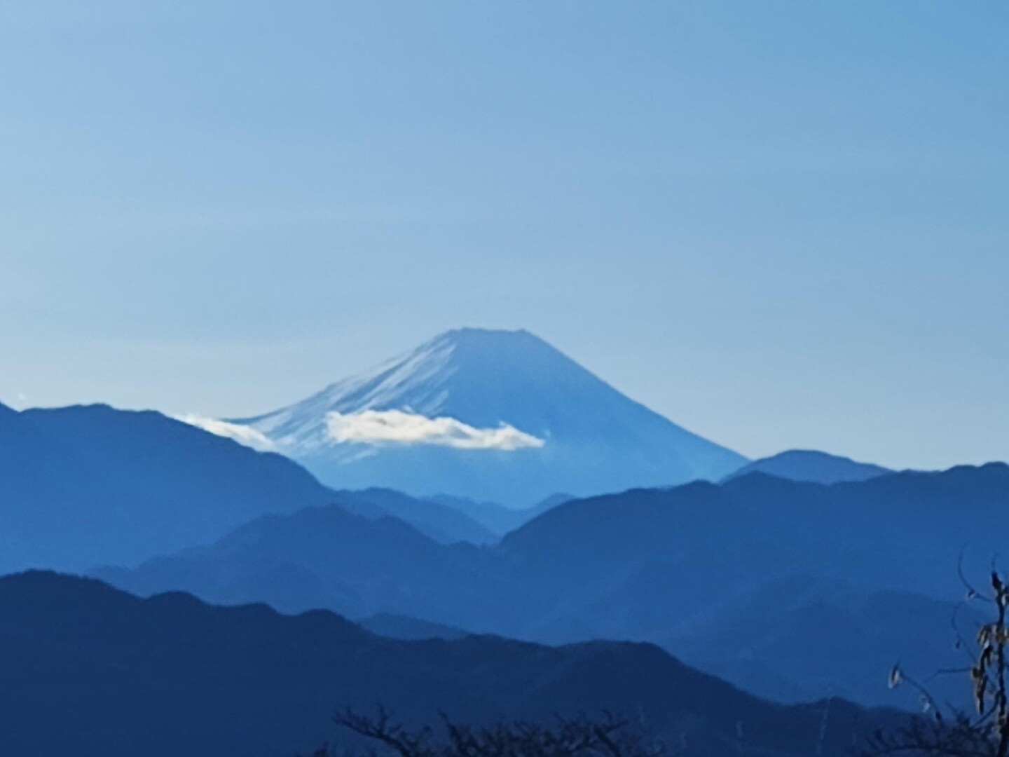 初詣は薬王院 / odanさんの高尾山・陣馬山・景信山の活動データ | YAMAP / ヤマップ