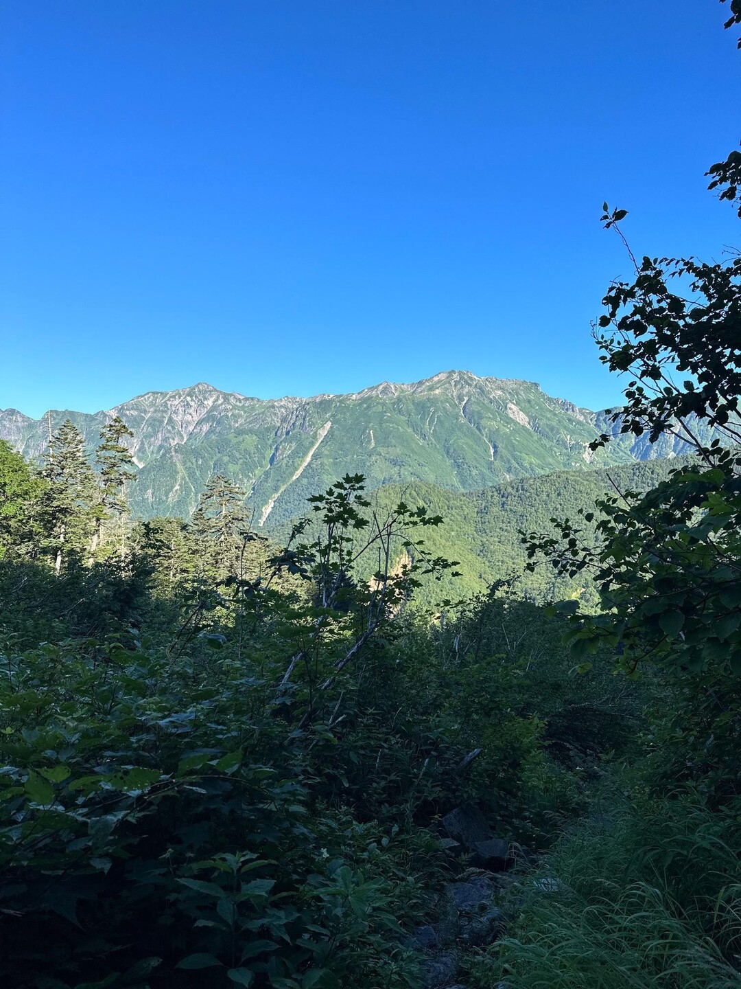 Jangers ジャンガースさんの投稿したフィールドメモ | YAMAP / ヤマップ