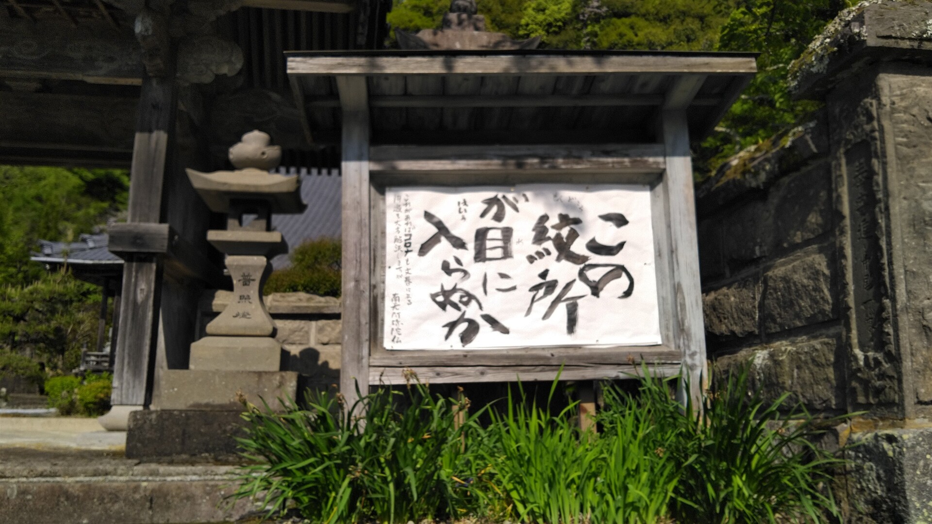 ギャラリーこうひいや。 中津では知る人ぞ... / obrさんのモーメント | YAMAP / ヤマップ