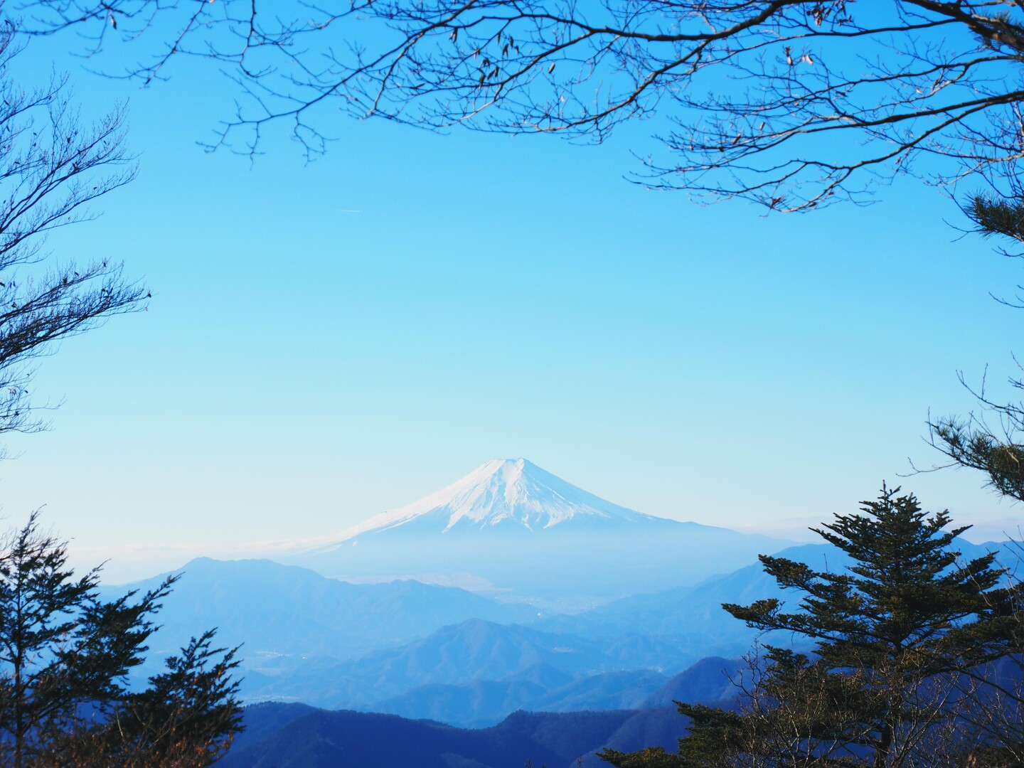 三頭山～槇寄山～御林山 / t-phanさんの三頭山・槇寄山・土俵岳の活動データ | YAMAP / ヤマップ