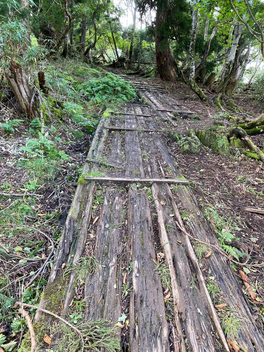 Allyさんの投稿したフィールドメモ | YAMAP / ヤマップ