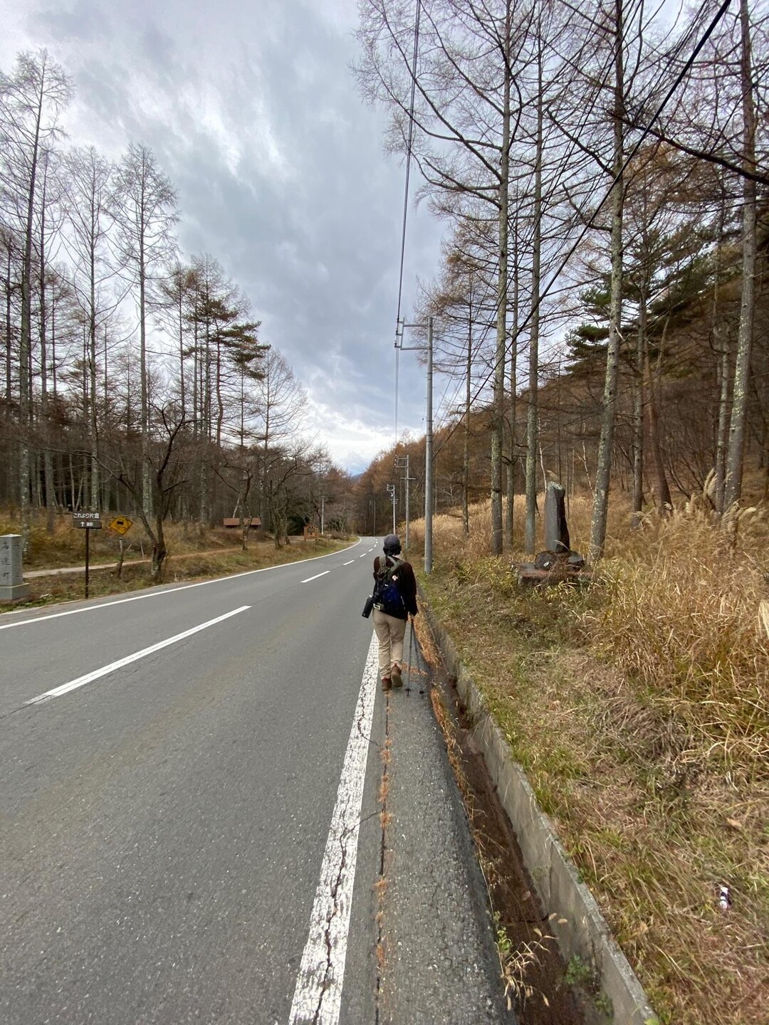 守屋山 / Rikumamiさんのハイキングの活動データ | YAMAP / ヤマップ