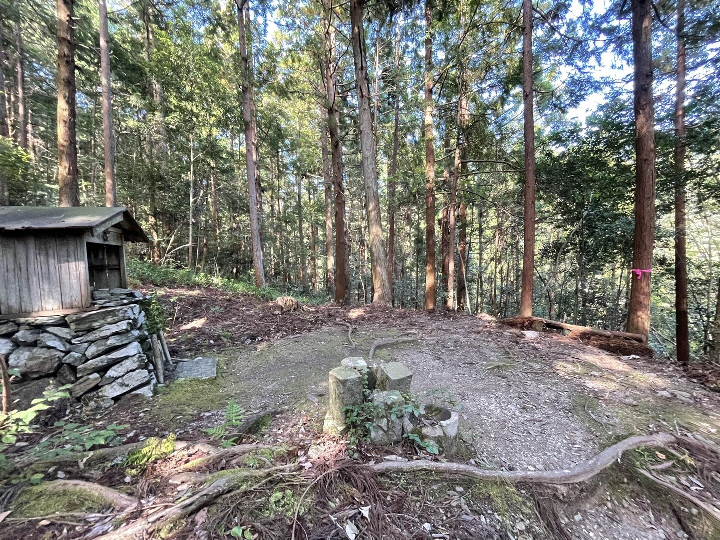 KEIKOさんの投稿したフィールドメモ | YAMAP / ヤマップ