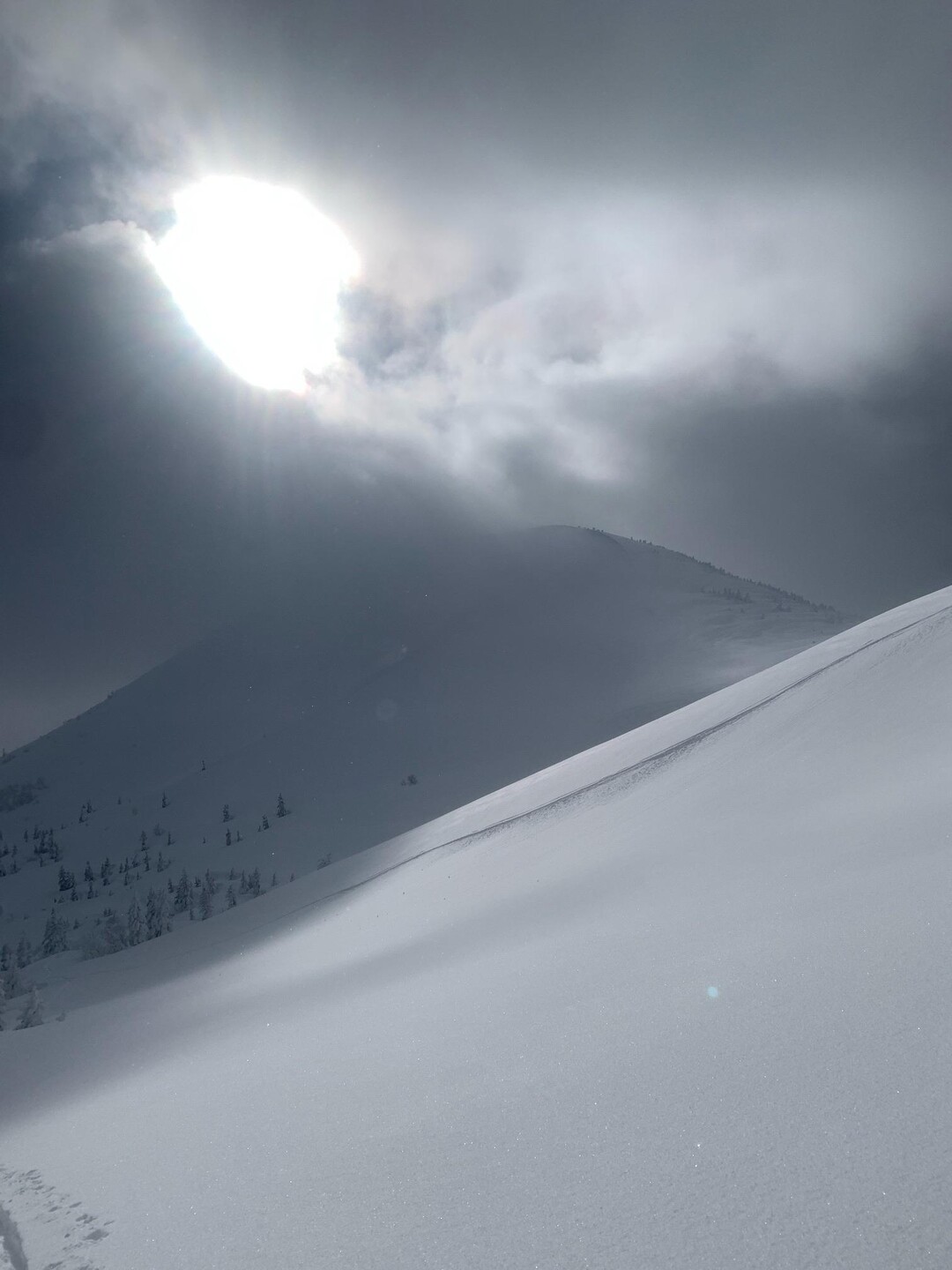 八甲田山BC、仙人岱ヒュッテ下の斜面 / ZAKUさんの八甲田山・高田大岳・雛岳の活動データ | YAMAP / ヤマップ