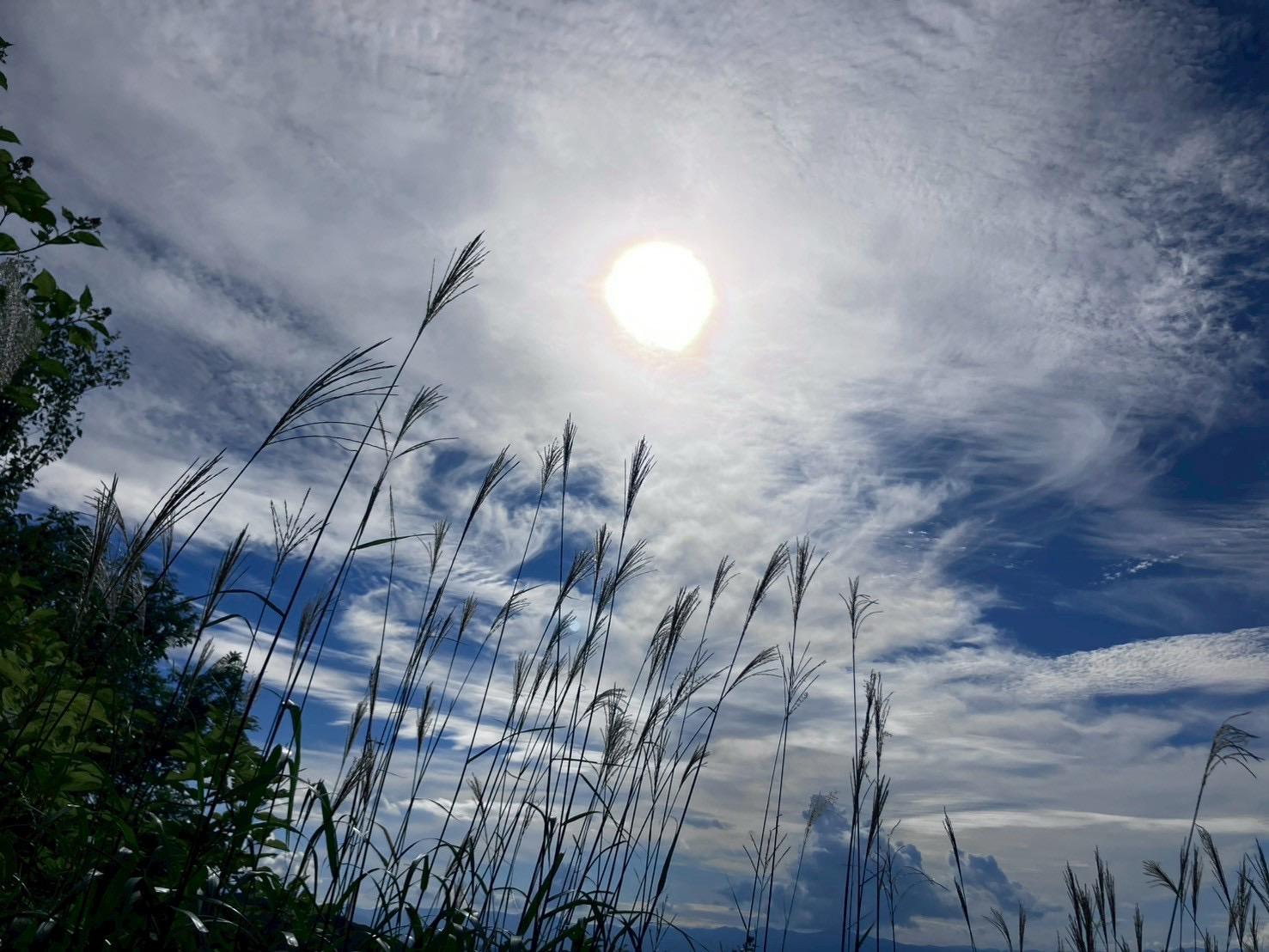 下赤岩山・赤岩山 / Ryu🐉さんの赤岩山の活動データ | YAMAP / ヤマップ
