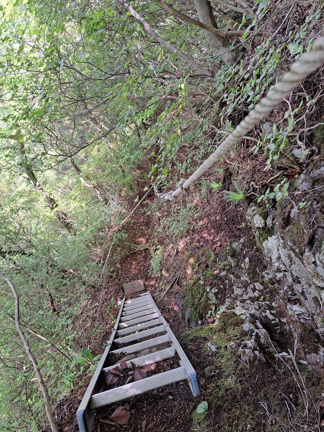 高千穂ハイカー〈玄武山〉 / shihoさんの祖母山の活動データ | YAMAP / ヤマップ