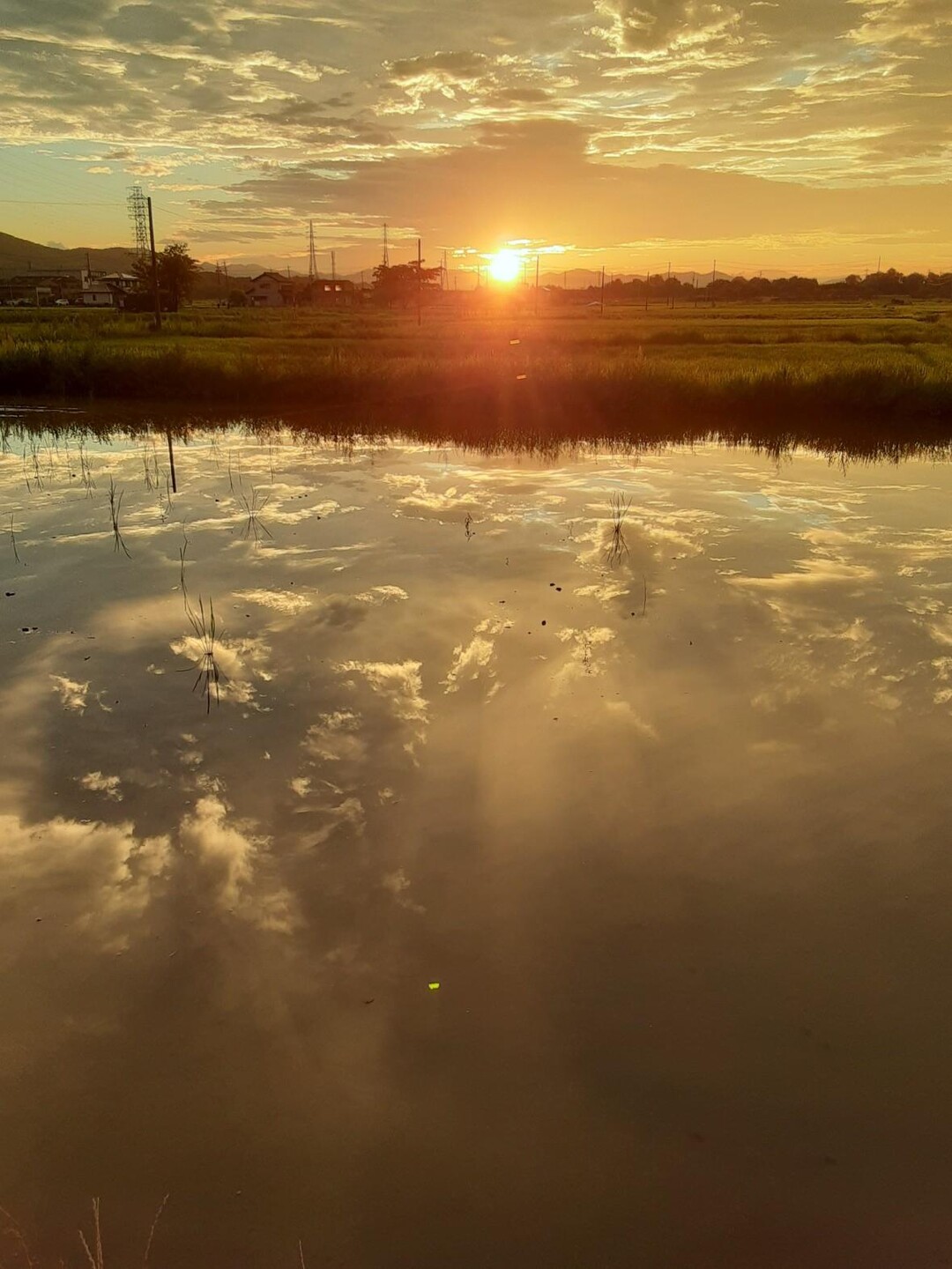 早朝ポタリング 曇りかと思ったら、朝陽出... / yu16さんのモーメント | YAMAP / ヤマップ