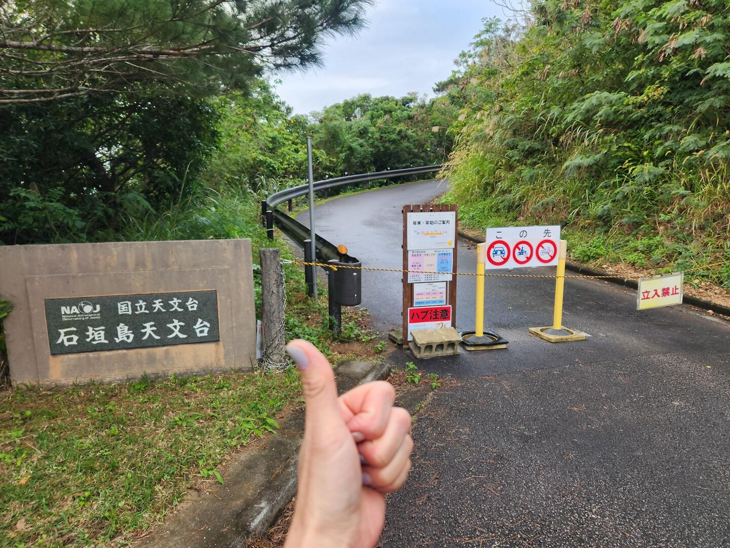 連チャンビークGETの前勢岳⛰️ / まぁさんの石垣島 南部の活動データ | YAMAP / ヤマップ