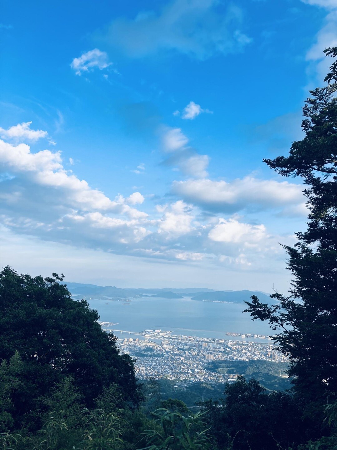 極楽寺山-2024-08-02 / kamexさんの極楽寺山の活動データ | YAMAP / ヤマップ