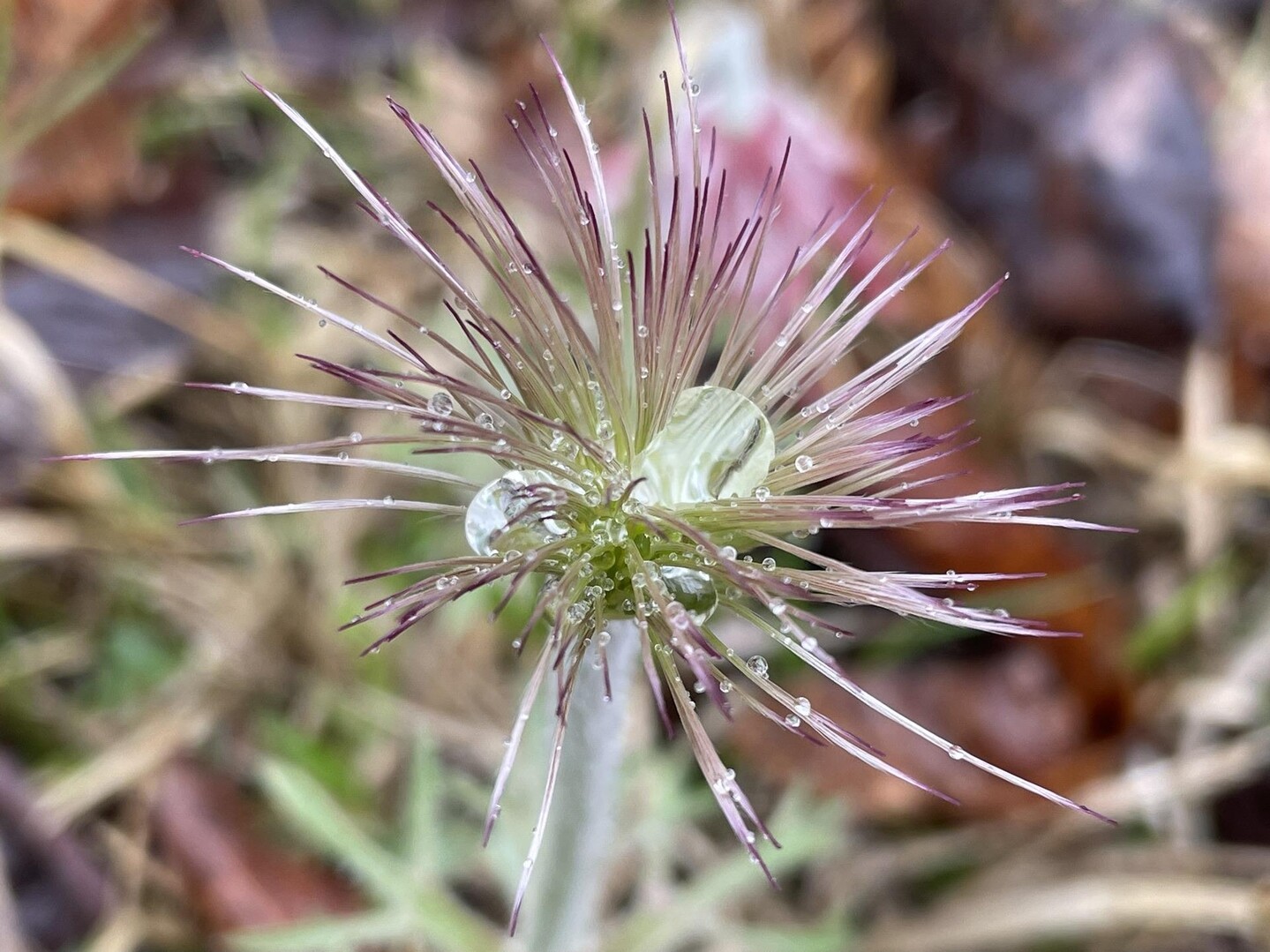 今日はdatinさんのbirthday ... / GGファルカンさんのモーメント | YAMAP / ヤマップ