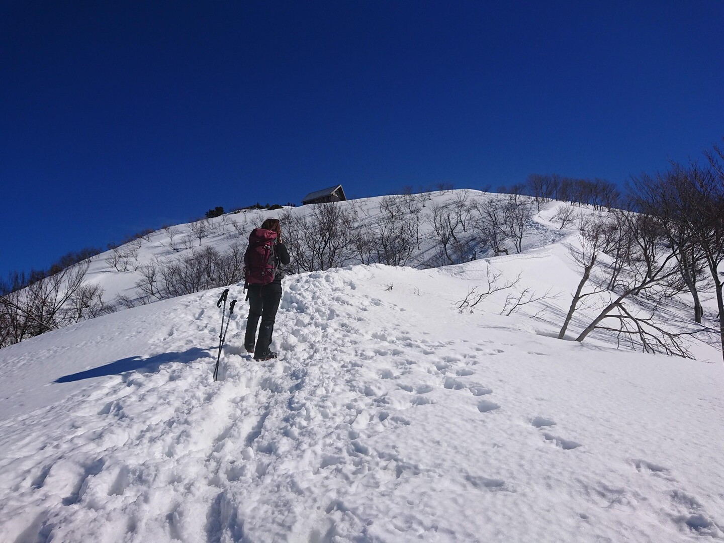 米山 大平登山口 / tak_kerさんの米山の活動データ | YAMAP / ヤマップ
