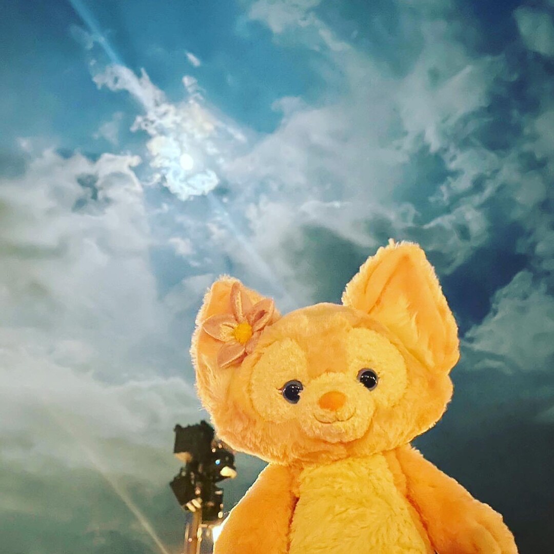 中秋の名月の夜は、TDSにて素敵な時間を... / cha-shuさんのモーメント | YAMAP / ヤマップ