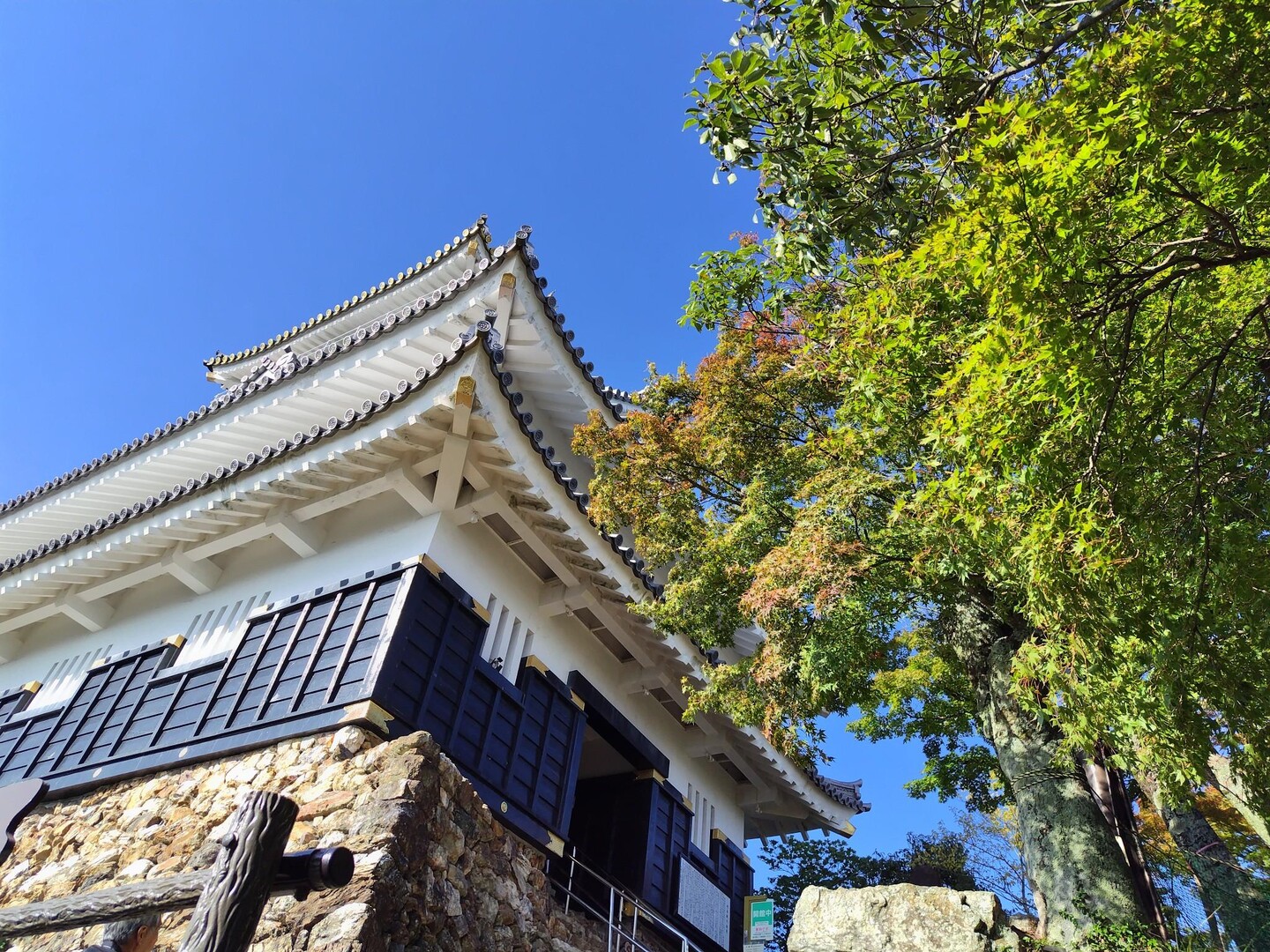 迎え山で一狩り行こうぜ！ / mktさんの金華山・洞山・舟伏山の活動データ | YAMAP / ヤマップ