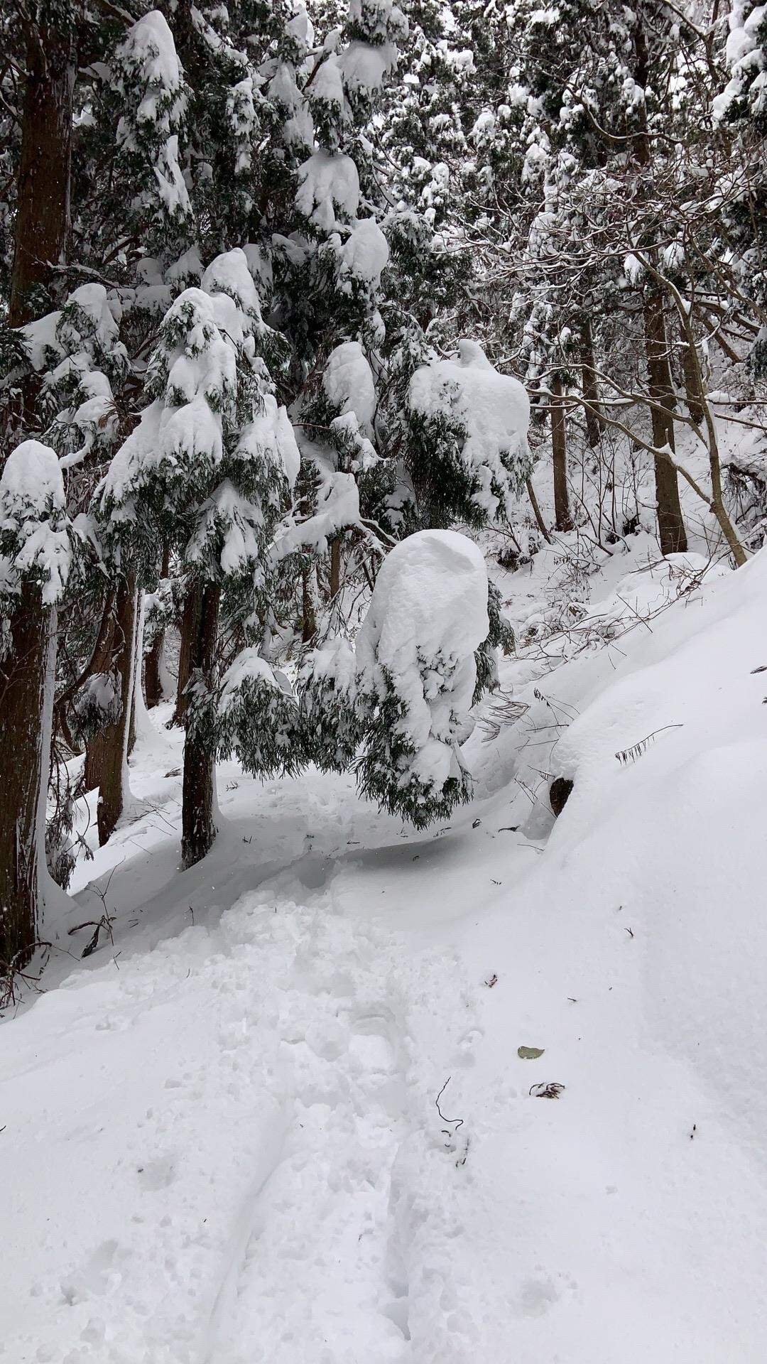 稲島 Snow hike / ヘイルメリー🧢さんの角田山の活動データ | YAMAP / ヤマップ