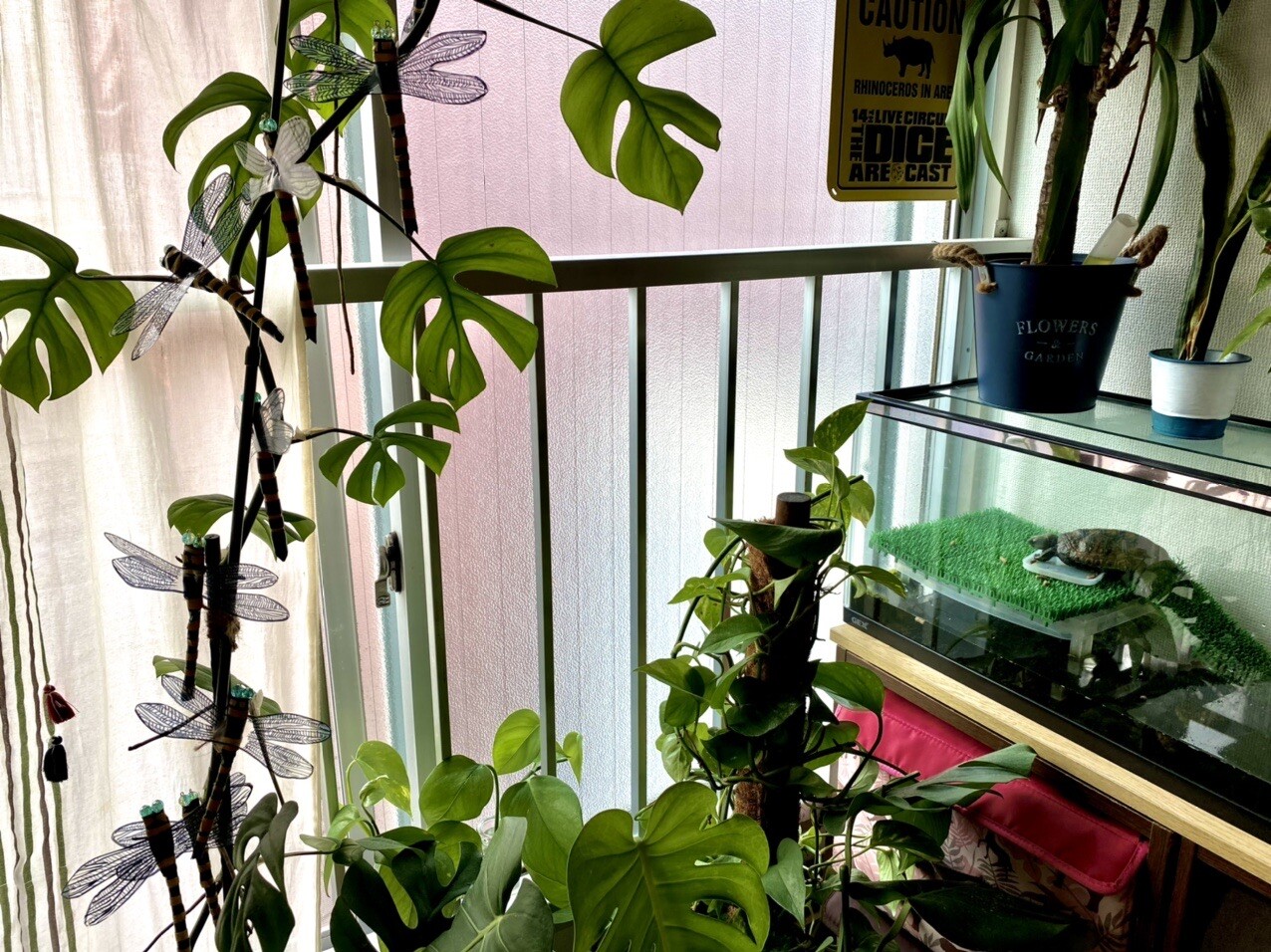 出荷待ち？ʚïɞ.•*¨*•.¸¸♬ へ... / - ̗̀ ☺︎ ̖́-Sen_sun- ̗̀ ☺︎ ̖́-さんのモーメント | YAMAP / ヤマップ