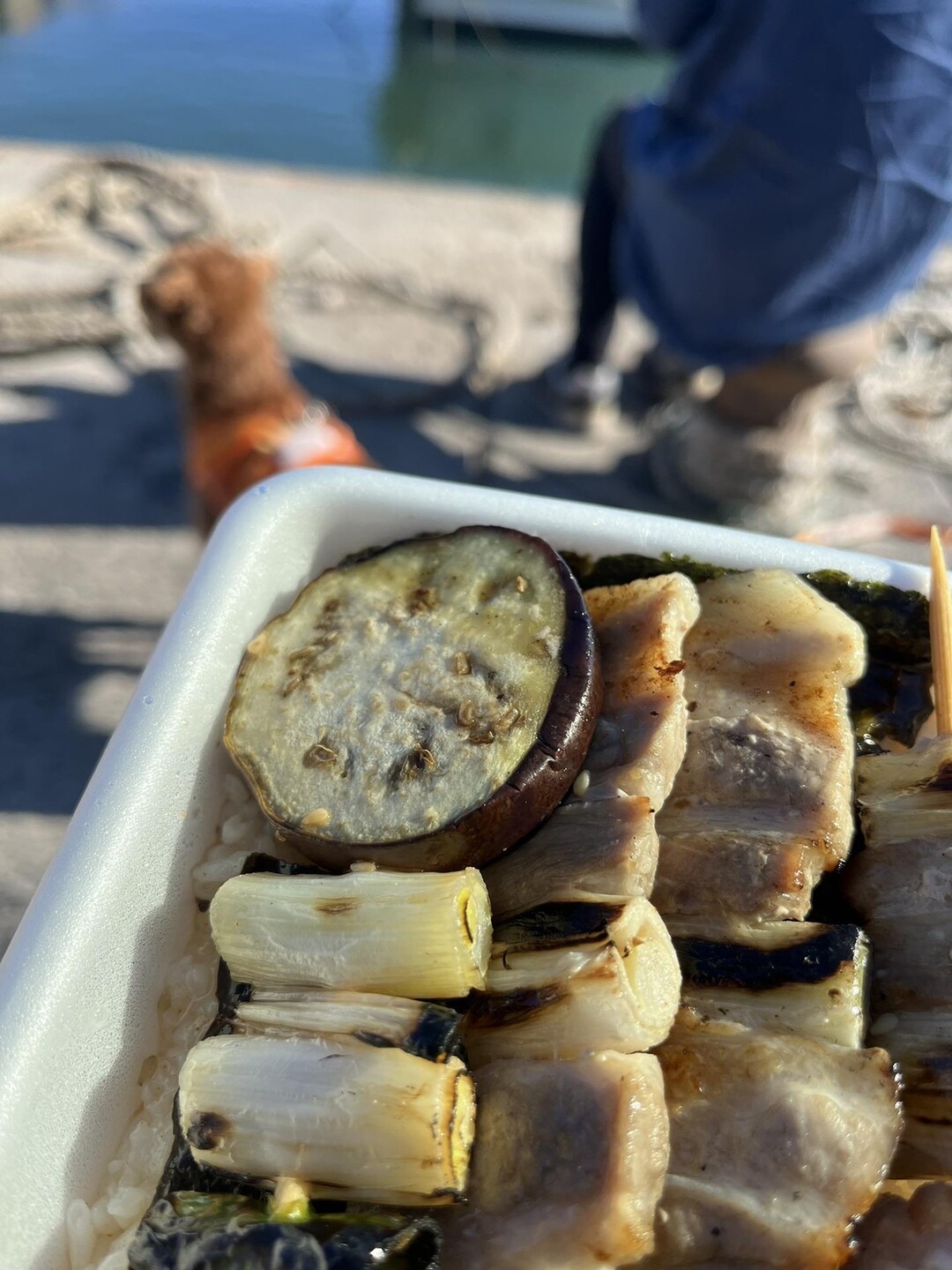 ピークハント薬師山 観音山 木地挽山 / minotさんの薬師山の活動データ | YAMAP / ヤマップ